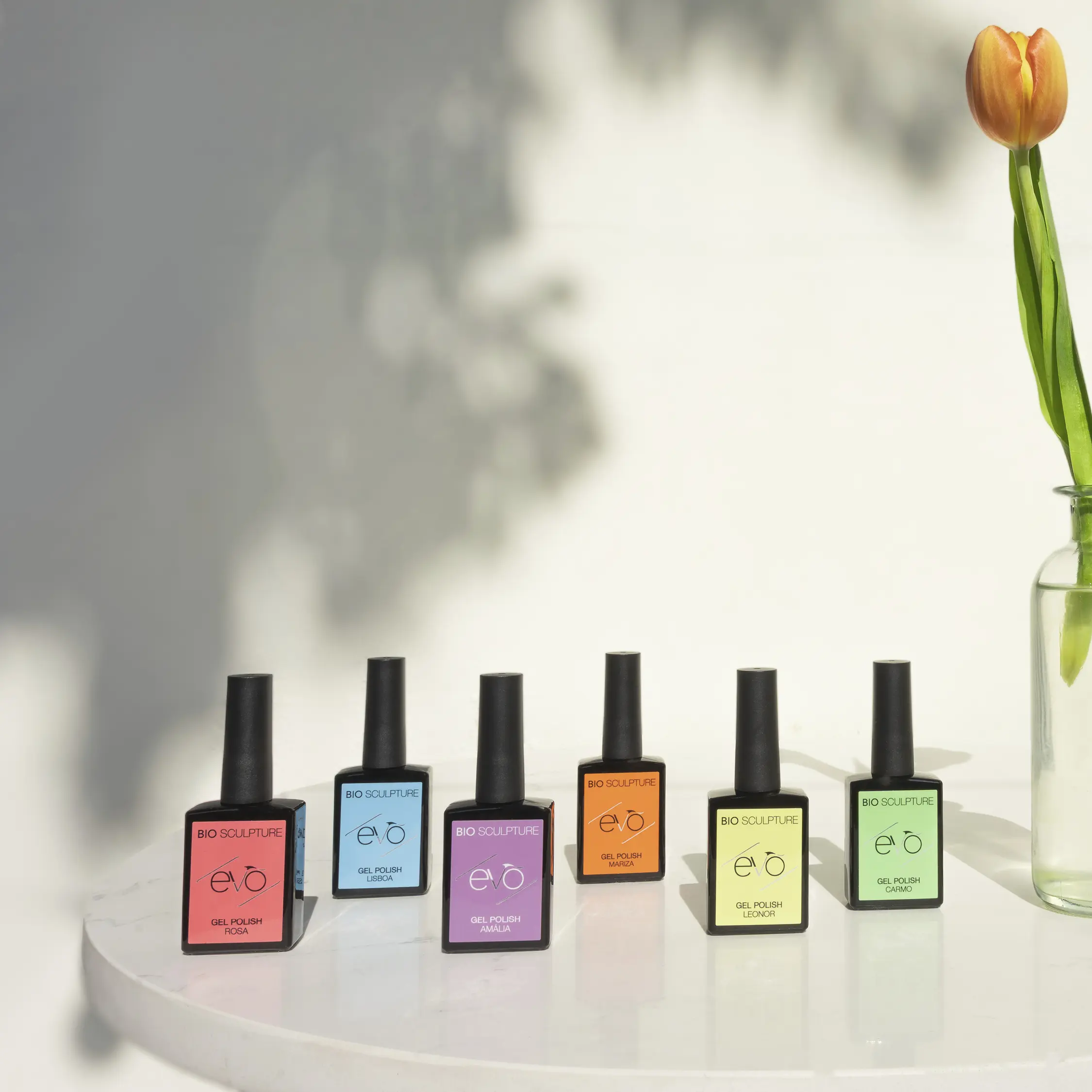 EVO Colours - Bio Sculpture