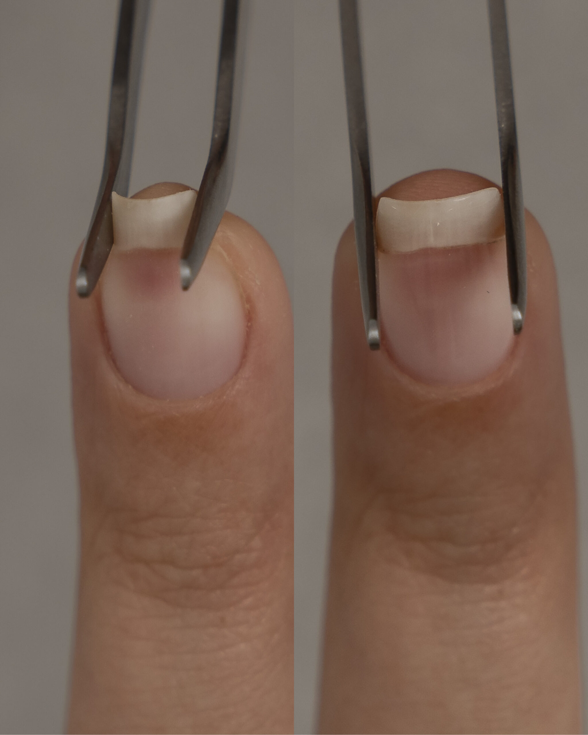 Builder Gel - Bio Sculpture